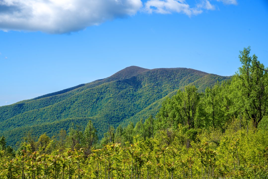 Blue Ridge Parkway May 2023 75 – Manchester, CT – Living, Learning ...